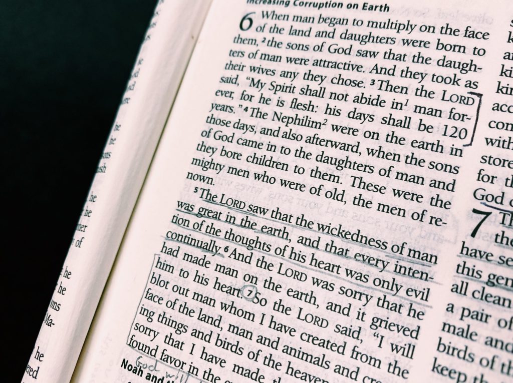 The Nephilim Connection – Theopolis Institute