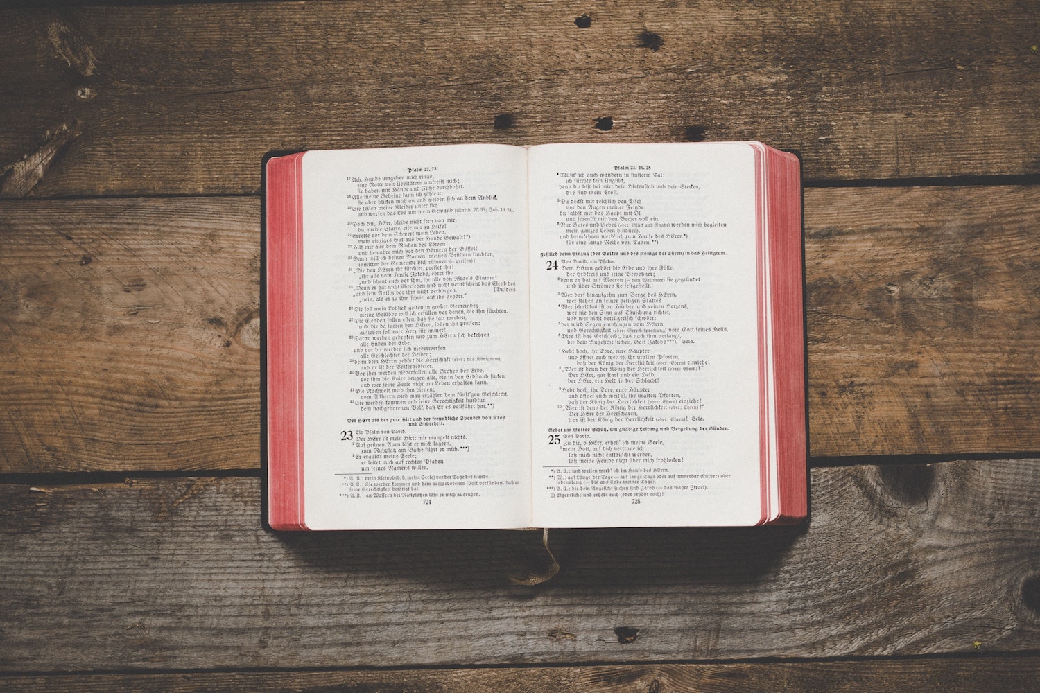 Psalm 23: A Lesson in Reading Biblical Poetry – Theopolis Institute